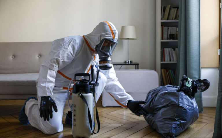 Bed Bug Insurance: the guide to choosing the right policy [2025]