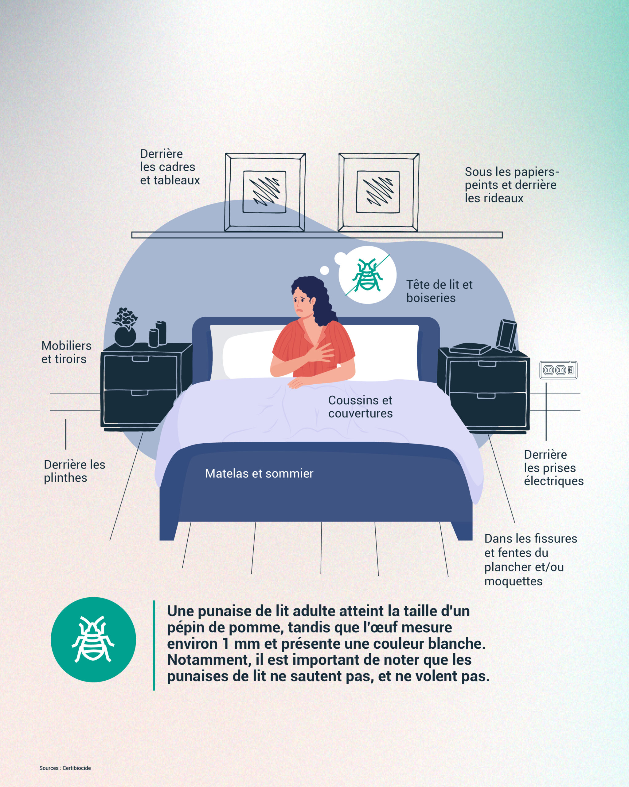 Le Protocole Anti Punaises de Lit Étape par Étape