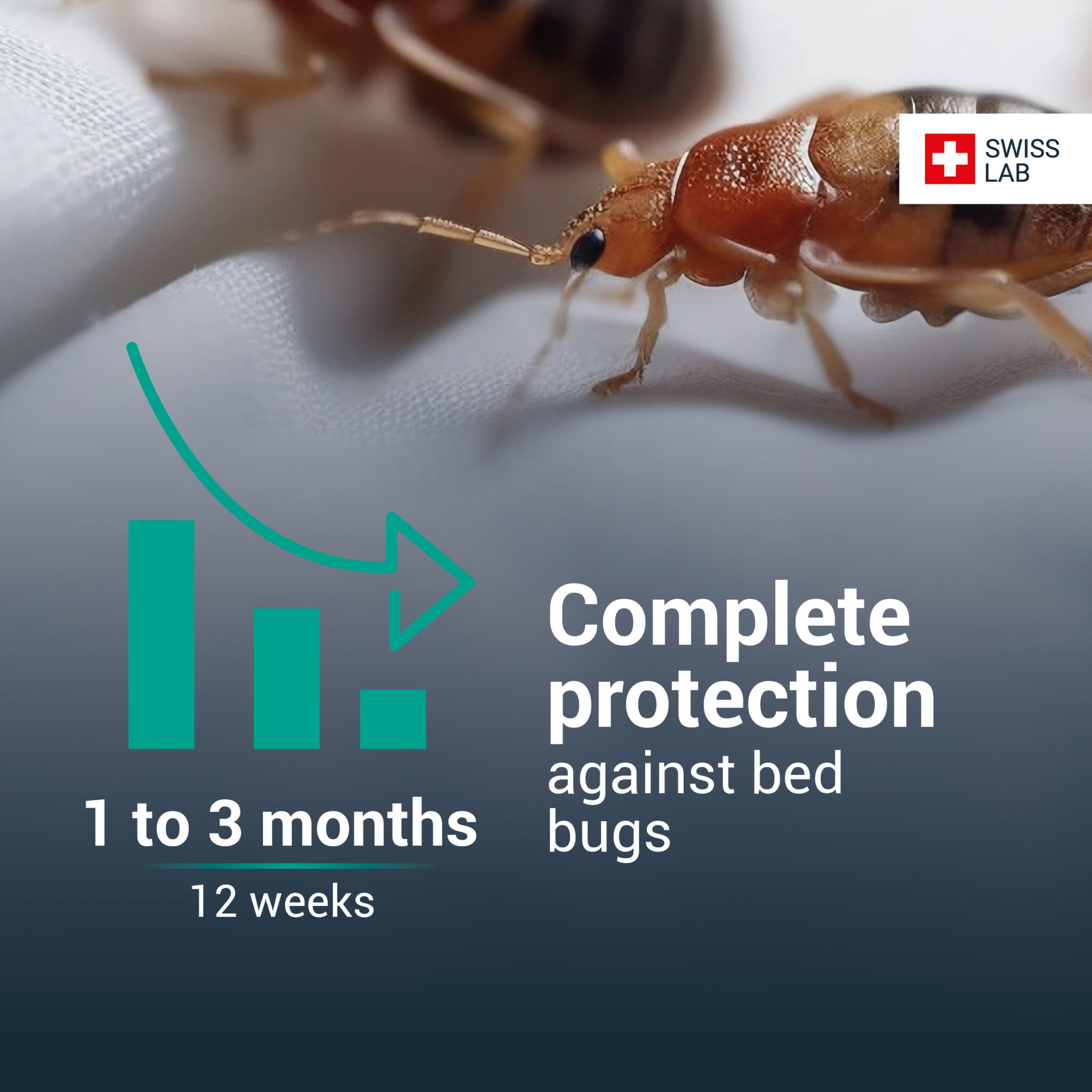 Complete Bed Bug Treatment- Sereni-d®