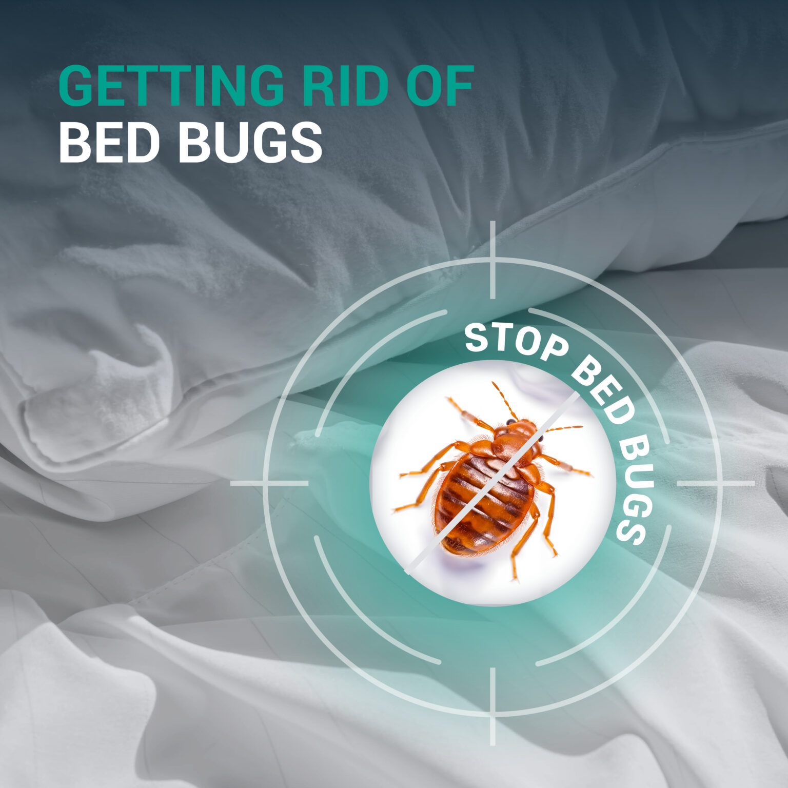 Complete Bed Bug Treatment- Sereni-d®